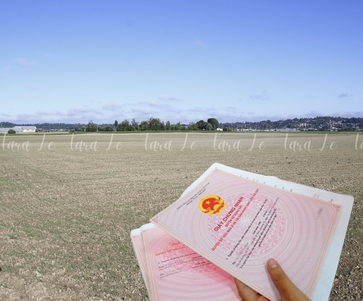 5 Loại Đất Không Giấy Tờ Sẽ Được Cấp Sổ Đỏ Từ 2025: Quy Định Mới Trong ...