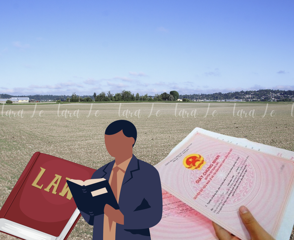 6 Trường Hợp Sổ Đỏ Bị Thu Hồi Từ Năm 2025: Quy Định Mới Của Luật Đất ...