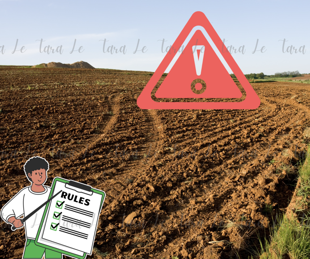 Những Quy Định Mới Về Đất Đai Từ 2025: Điều Gì Thay Đổi? - TaraLe