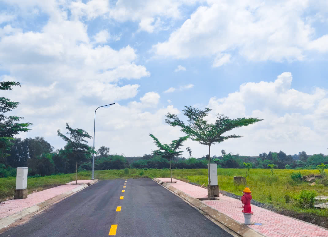 Giá đất Củ Chi, Hóc Môn, Cần Giờ tăng mạnh – Vì sao? - TaraLe