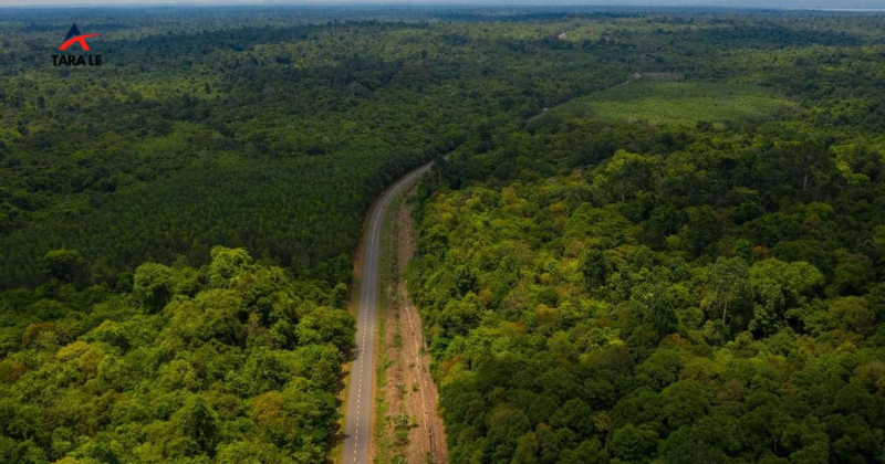 Cầu Mã Đà: Đồng Nai và Bình Phước Gần Sân Bay Long Thành - TaraLe