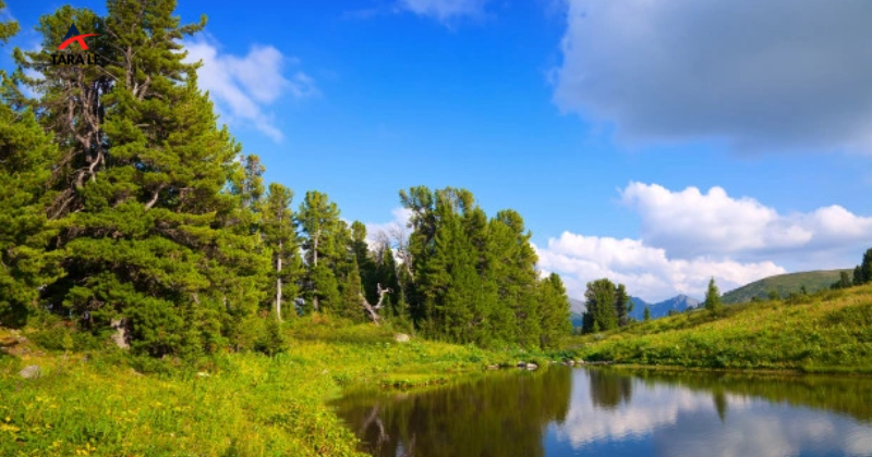 Đất san lấp ao hồ thuộc HTX có được cấp sổ đỏ không? - TaraLe