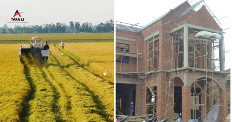 Xây nhà trên đất nông nghiệp, cần nắm rõ quy định này - TaraLe